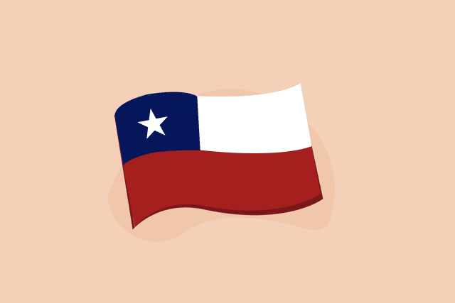 The Сhile Language: A Comprehensive Guide to Chilean Slang | Promova Blog
