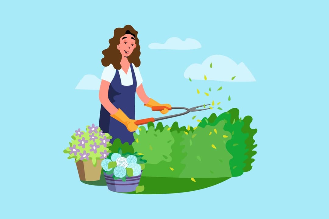 An Ultimate Guide to Gardening Vocabulary for ESL Learners | Promova Blog