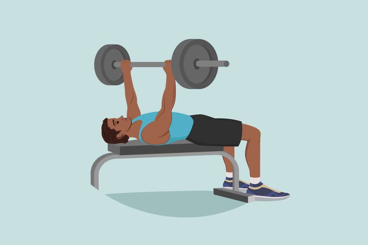 Gym Vocabulary in English with Pictures: Fitness Terms & Equipment
