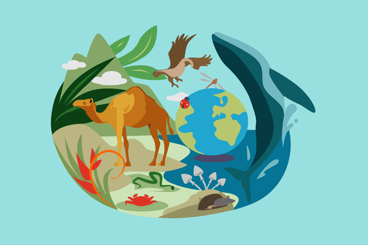 Animal Sounds in English: How Different Animals "Speak"