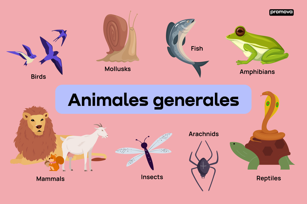 Animales Terrestres Lista Especie Y Caractersticas