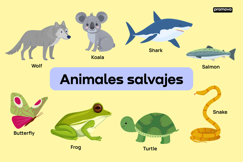 Imágenes De Animales Salvajes Y Sus Nombres